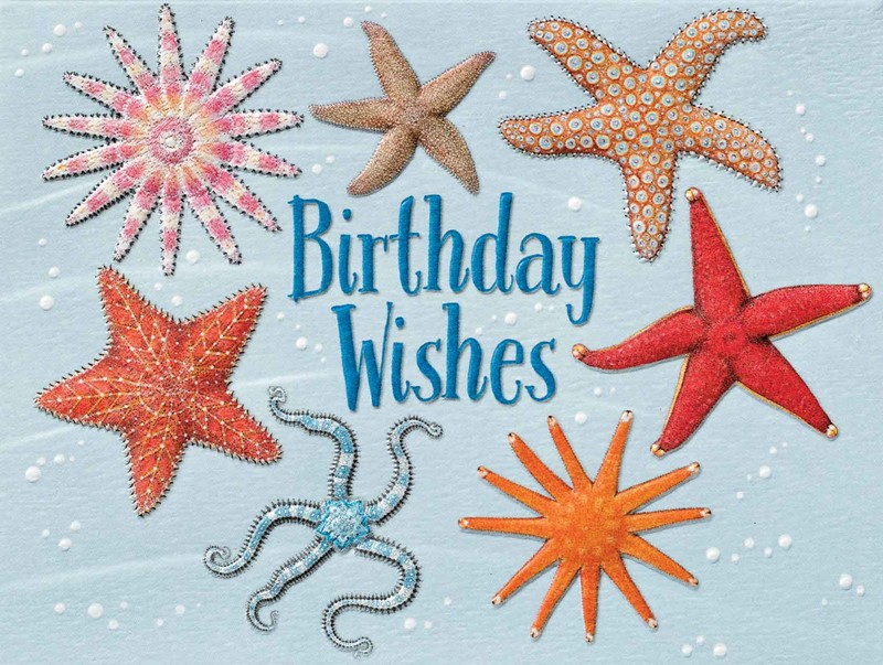 Stars of the Sea | Starfish birthday note cards