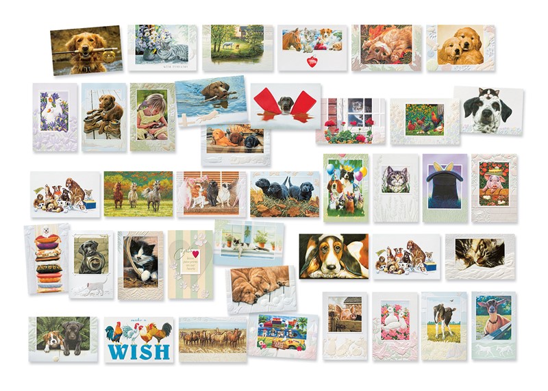 Deluxe Domestic Animals Card Assortment | Assortment Boxed Cards, Made ...