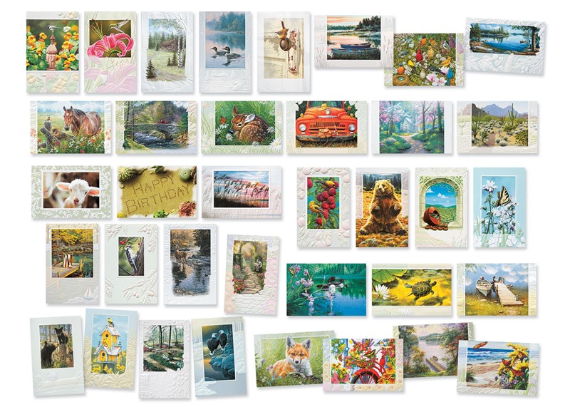 Deluxe Scenic Nature 36 Card Assortment | Assortment Boxed Cards, Made ...