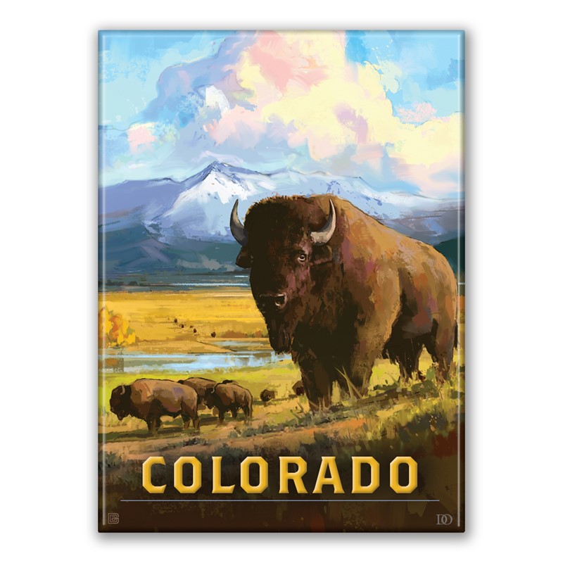 Colorado Bison Magnet| American Made Magnet